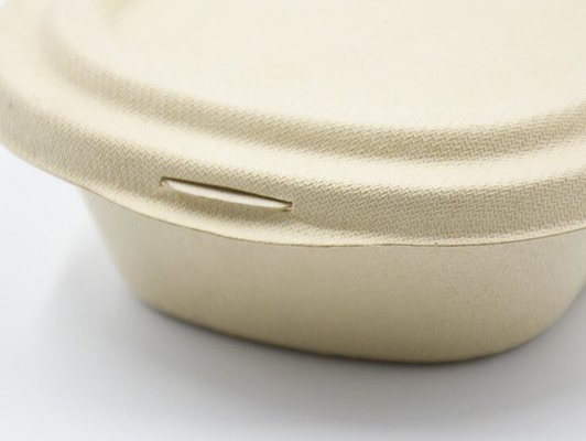 1000ml Biodegradable Straw pulp food container 2 compartments paper food tray with PP lid supplier