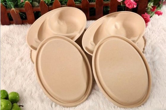 950ml 2 compartments Biodegradable Straw pulp food containers for fruit salad pasta trays supplier