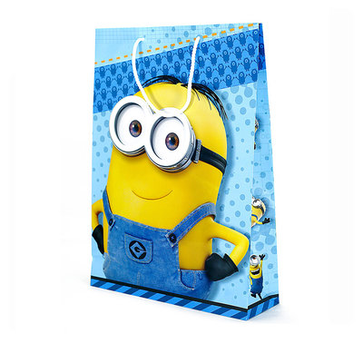 Laides clothes garment art paper bag soft shoes packaging bags logo printed supplier