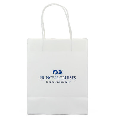 pantone color printing kraft paper bag flat handle paper bag supplier