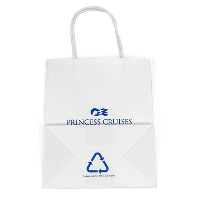 pantone color printing kraft paper bag flat handle paper bag supplier