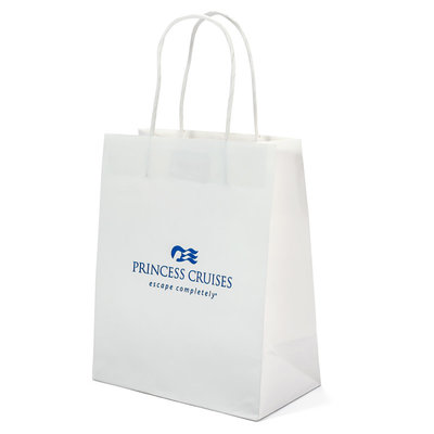 pantone color printing kraft paper bag flat handle paper bag supplier