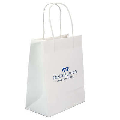 pantone color printing kraft paper bag flat handle paper bag supplier