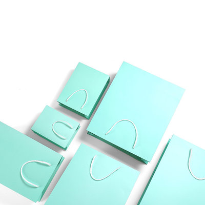 Green color jewelry packaging paper bag own logo printing rope handle supplier
