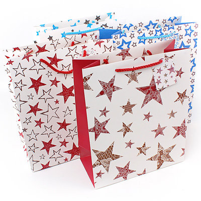 Laides clothes garment art paper bag soft shoes packaging bags logo printed supplier