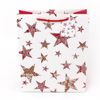 Laides clothes garment art paper bag soft shoes packaging bags logo printed supplier
