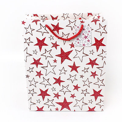 Laides clothes garment art paper bag soft shoes packaging bags logo printed supplier
