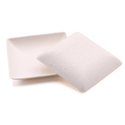 Disposable biodegradable mini sugarcane squared shaped bagasse paper snack appetizer plate supplier
