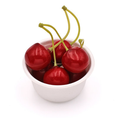 Biodegradable sugarcane salad bowls sauces tray disposable bagasse paper DIY plate mini tableware supplier