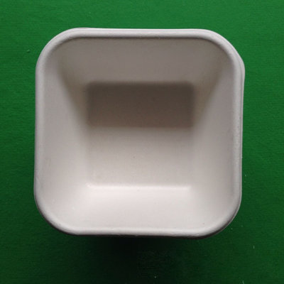 biodegradable eco-friendly dinnerware sugarcane square shaped food tray supplier