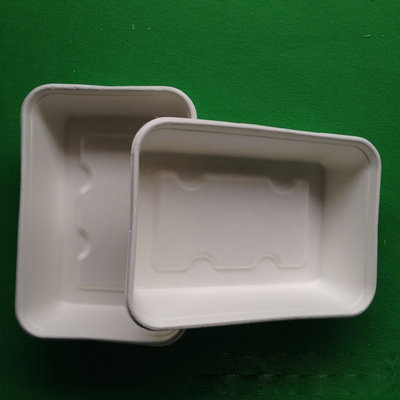 biodegradable eco-friendly tableware sugarcane rectangle shaped food tray supplier