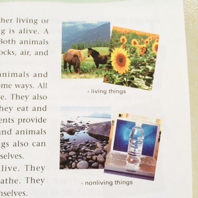 Cheaper Book printing, Custom book printing, OEM book printing supplier