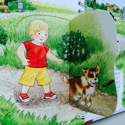 Cheaper Book printing, Custom book printing, OEM book printing supplier
