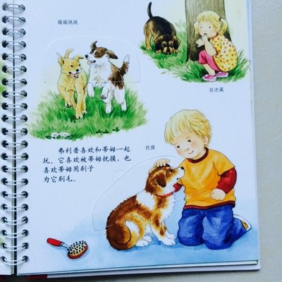 Cheaper Book printing, Custom book printing, OEM book printing supplier