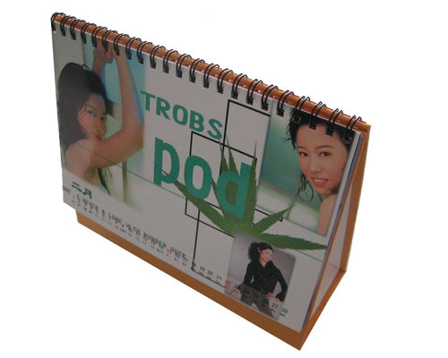 custom calendar printing,table calendar printing,wall calendar printing,wholesale calendar supplier supplier