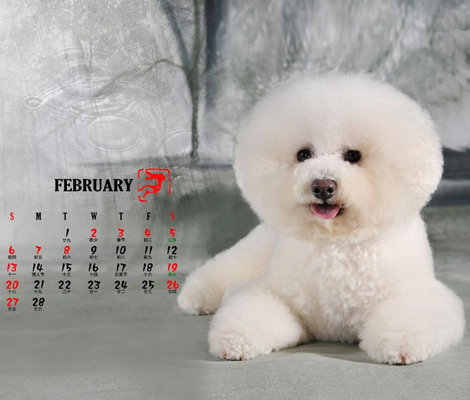 Animal Calendar Printing, Kraft paper calendar, pop up calendar supplier, Beijing Printing company supplier