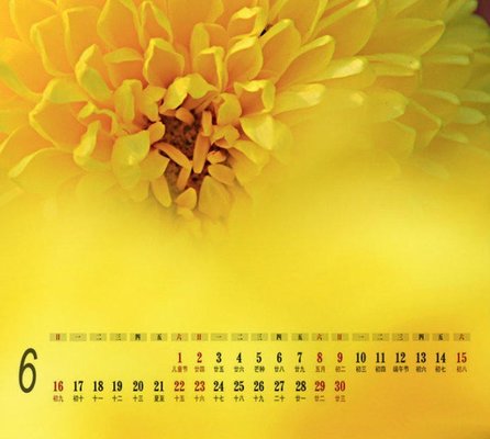 Custom design desktop calendar. 2018 wall calendar,CMYK full color printing calendar, OEM printing calendar supplier