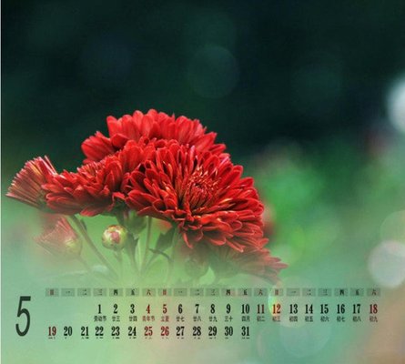 Custom design desktop calendar. 2018 wall calendar,CMYK full color printing calendar, OEM printing calendar supplier