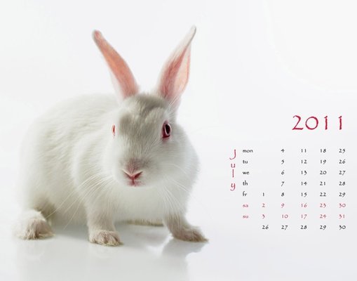 2018 OEM wall calendar printing, animal calendar printing, company catalog calendar printing supplier