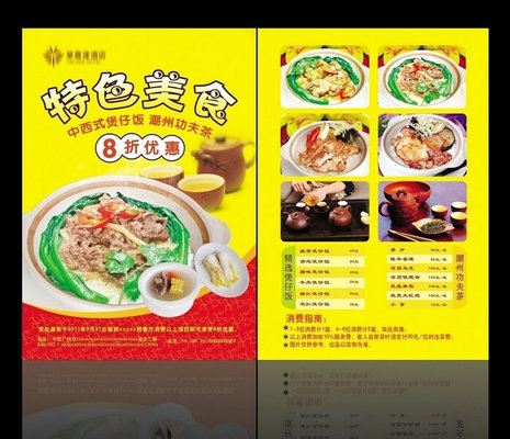 Full color print flyer, brochure printing with free shipping, booklets printing, handbill printing, printing OEM flyers supplier
