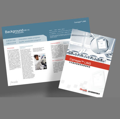 leaflets printing company,Custom flyer printing,cheap printing company,A5 flyer printing, half folded flyer printing supplier
