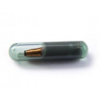 China Transponder Chip EH1 4D Transponder Chip EH1 4D Car Remote chip supplier