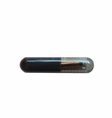 China Transponder Chip Glass ID20 T5 Transponder Chip T5 car key transponder chip supplier