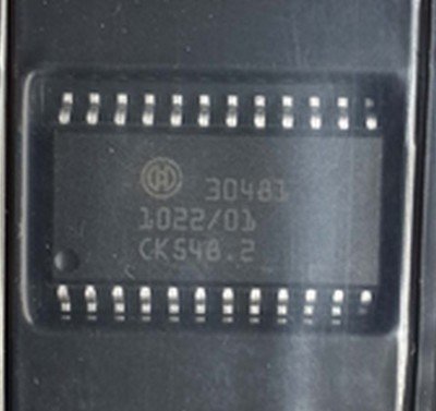 China Brand new 30481 BOSCH Auto Computer chip Car electronic drive IC supplier