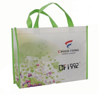 Eco Friendly Heavy Duty Promotional Gift Bags With 4C Offset Printing