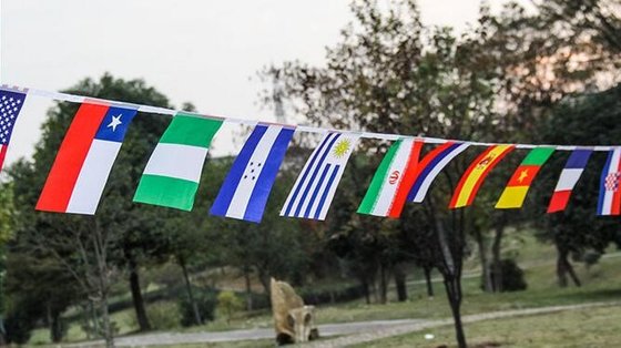 100% Polyester Safety Miniature Country Flags With Standing Pole