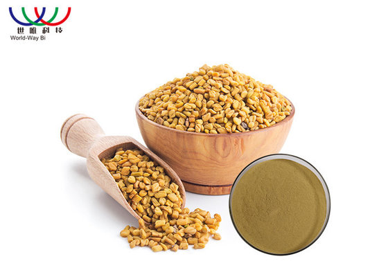 Testofen Fenugreek Extract For Diabetes  , 50% Furostanol Saponin Fenugreek Leaf Powder