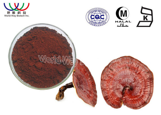 Anti Cancer Reishi Mushroom Extract 10% Polysaccharides Fruiting Body For Medicine