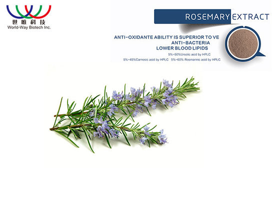 Rosemary Leaf Pure Plant Extract Organic Carnosic Acid Brown Yellow Fine Powder