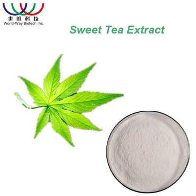 Pure White Natural Splant Extract Powder , Sugar Substitute Sweet Green Tea Leaf Extract