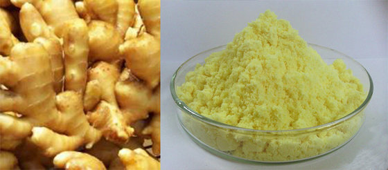 100% Natural Ginger Root Extract Solvent Extraction Yellowish Brown Fine Powder