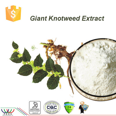 Weight Loss Chinese Knotweed Extract , Polygonum Cuspidatum Root Extract