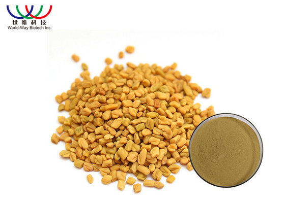 High Standard Fenugreek Extract Powder 100% Natural Pharmaceutical Grade
