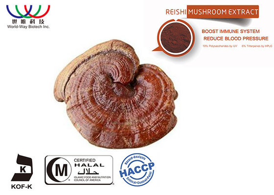 Water Soluble Reishi Mushroom Extract Powder Polysaccharides For Pharmaceutical
