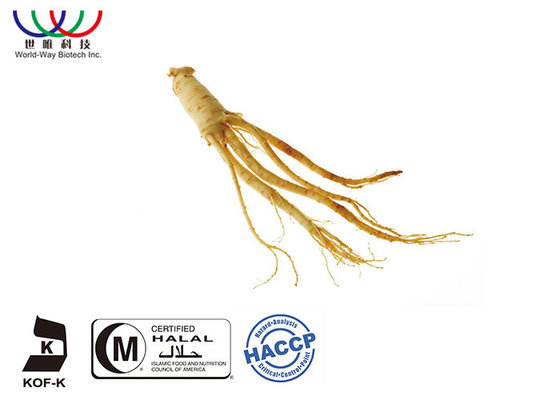 Healthy Siberian Ginseng Root Extract Powder Anti - Aging For Pharmaceutical