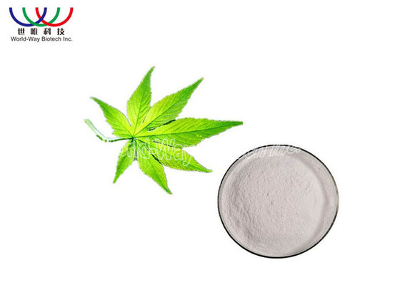 Sweet Tea Pure Plant Extract Powder 90% Rubusoside Natural Sweetener For Diabetes