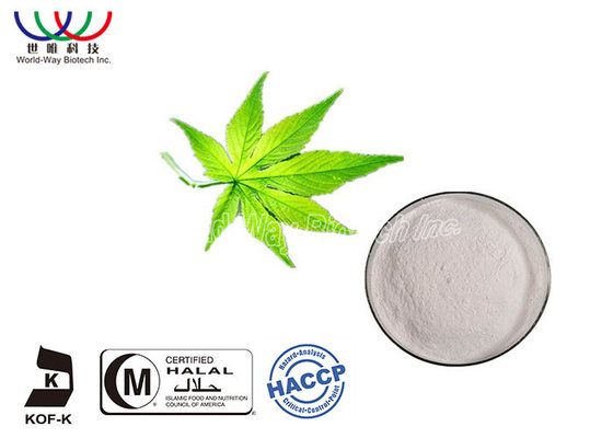 Off White Fine Powder Sweet Tea Extract Low Calorie Rubusoside 70% ~ 90%