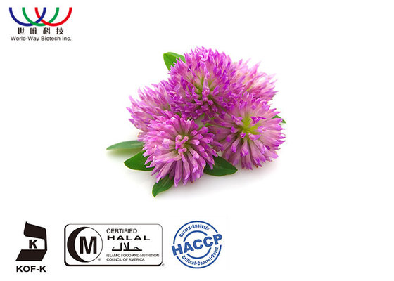 Organic Red Clover Leaf Extract , Natural Formononetin Powder 8% Isoflavones
