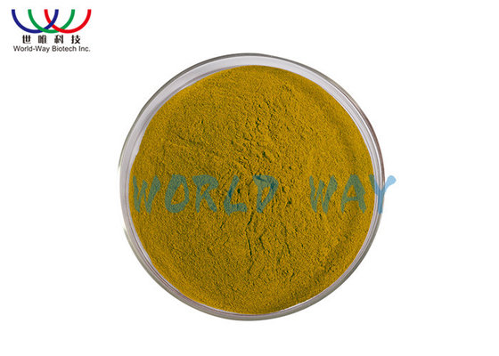High Standard Organic Ginger Root Extract Powder Pharmaceutical Grade For Cosmetic Industry