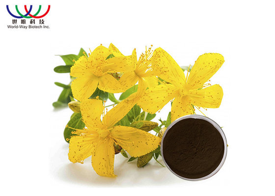 Saint John'S Wort Extract For Nerve Pain  , Solvent Extraction St John'S Wort Standardized Extract