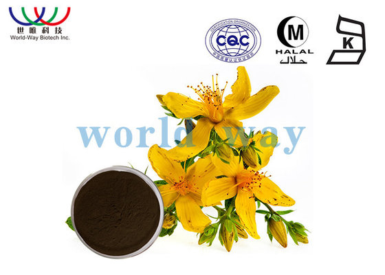 Saint John'S Wort Extract For Nerve Pain  , Solvent Extraction St John'S Wort Standardized Extract