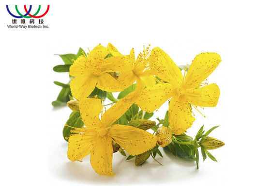 High Standard  St John'S Wort Mood Enhancer , Organic Hypericum Perforatum Extract