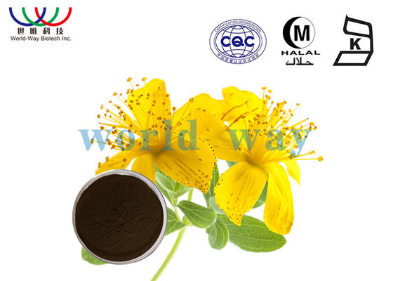 Herbal Medicine St John'S Wort Extract Powder 100 % Natrual Anti Depression