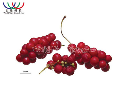 2% Schisandrins Schizandra Berry Powder , Schizandra Chinensis Fruit Extract