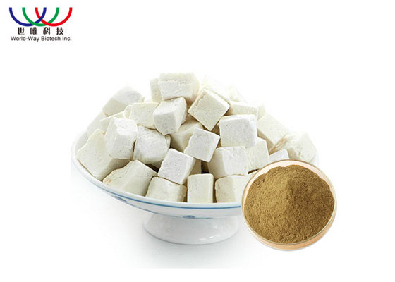 Low Pesticide Poria Cocos Extract / Fu Ling Extract 10%-30% Polysaccharides UV