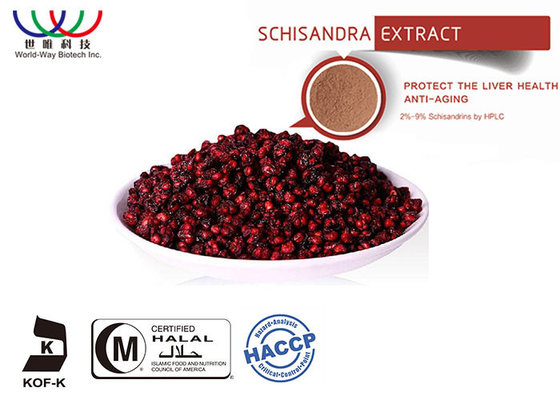 Custom Schisandra Chinensis Extract 3% Schisandrin Enhance Immune System